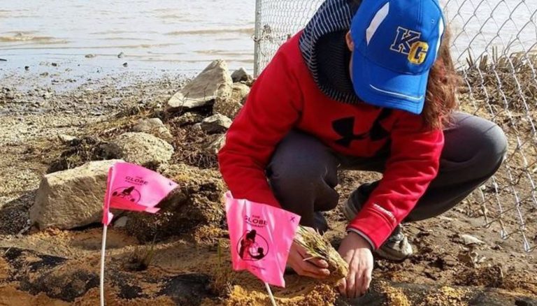 Living Shorelines Initiative