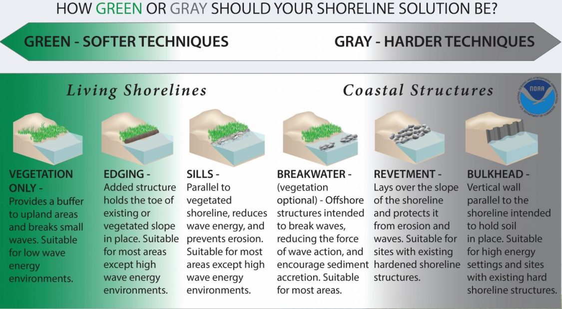 Living Shorelines Initiative