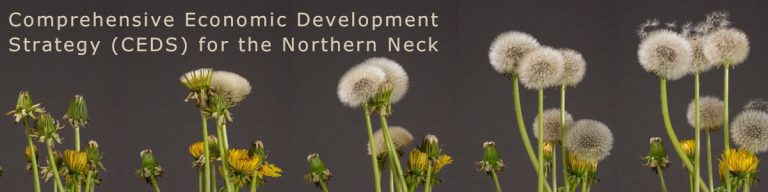 The Northern Neck’s CEDS Online